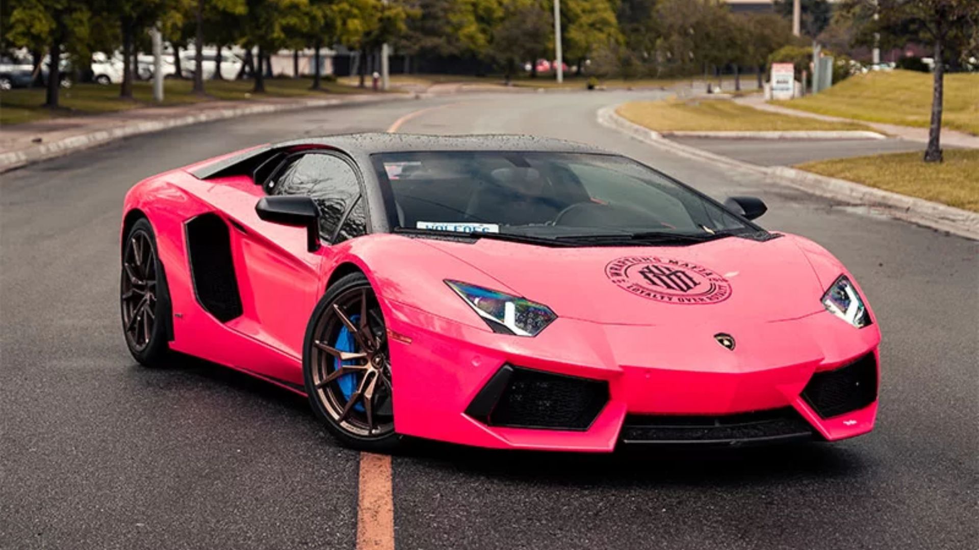 Expert Car Tuning Shop | ECU & Automotive Tuning